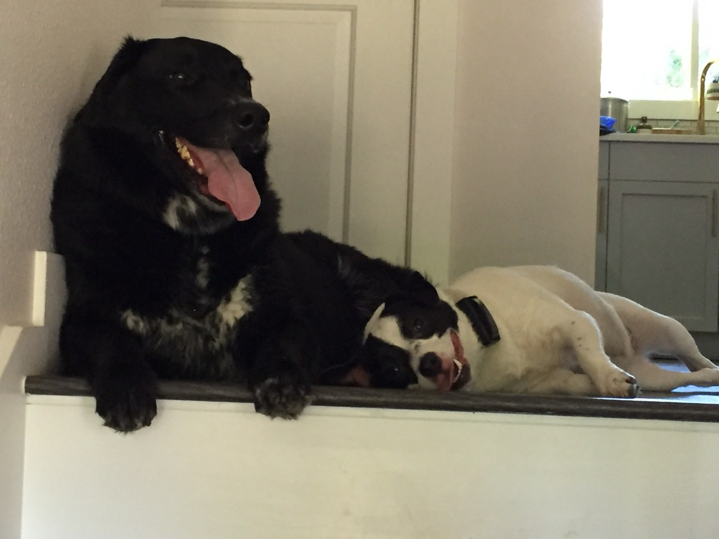 They Are All Awesome. – The Side Effects of Endorphins